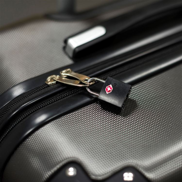 Mini TSA Padlocks with Keys x2